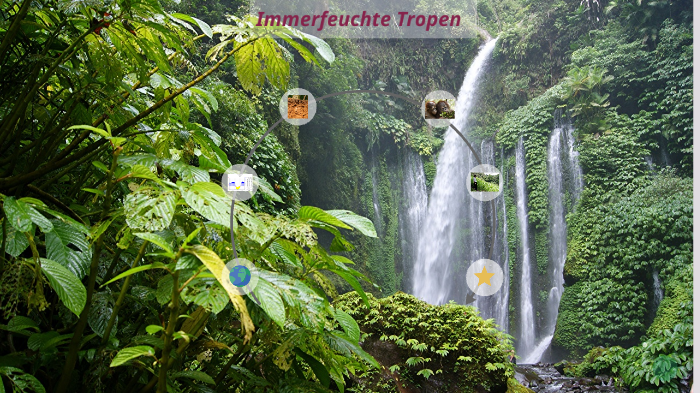 Immerfeuchte Tropen by Lucy Bach on Prezi