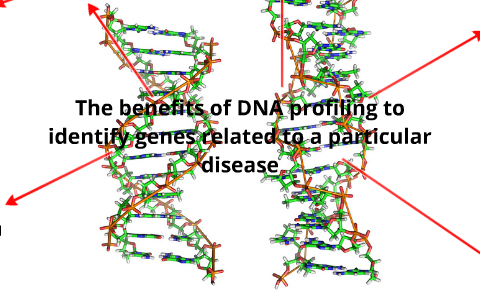 The benefits of DNA profiling to identify genes related to a disease by ...