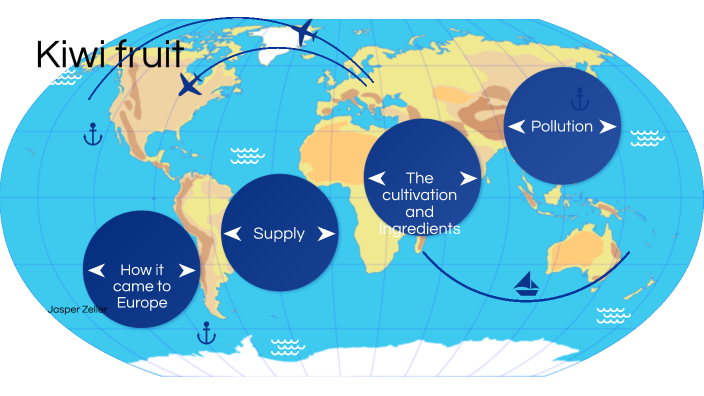 Kiwi fruit by Jasper Zeller on Prezi
