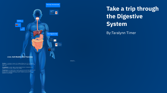 Journey Through the Digestive System by Taralynn Timer on Prezi
