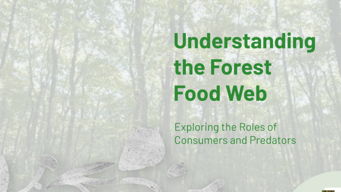 Understanding the Forest Food Web by Umar Ali Khan on Prezi