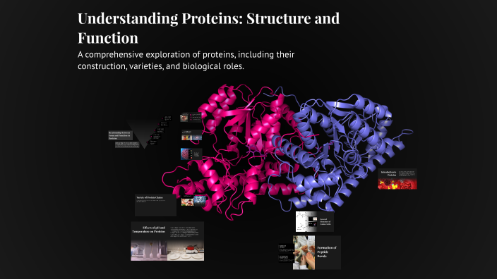 Understanding Proteins: Structure and Function by on Prezi