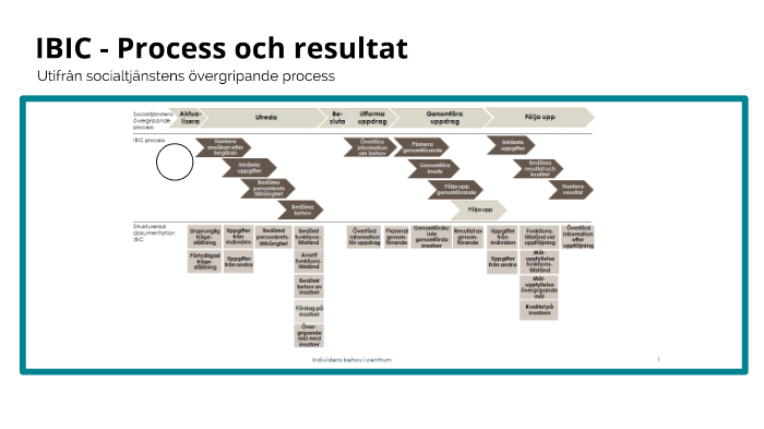 IBIC process by Rebecca Havrefras on Prezi