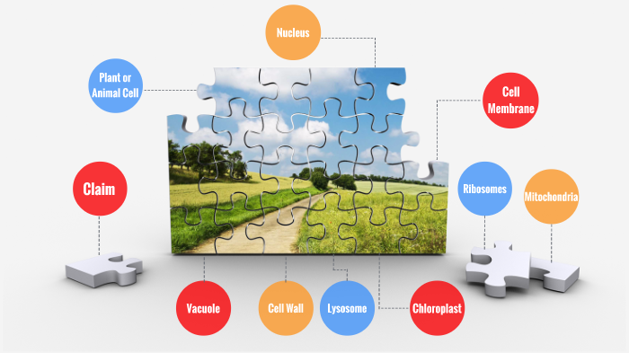 Cell Interdependence Project by Makayla Coffield on Prezi