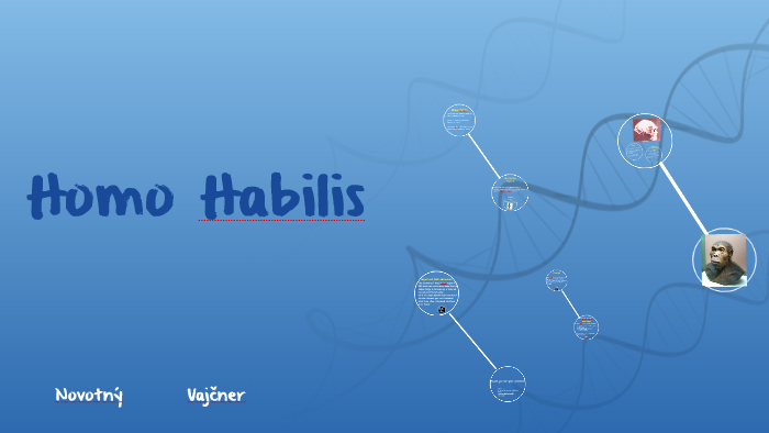Homo Habilis by Dalibor Novotný on Prezi