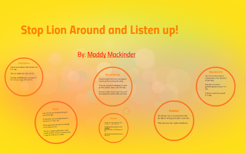 Stop Lion Around and Listen up! by Maddy M on Prezi