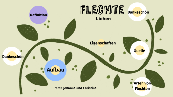 Biologie Flechten by Christina Schick on Prezi