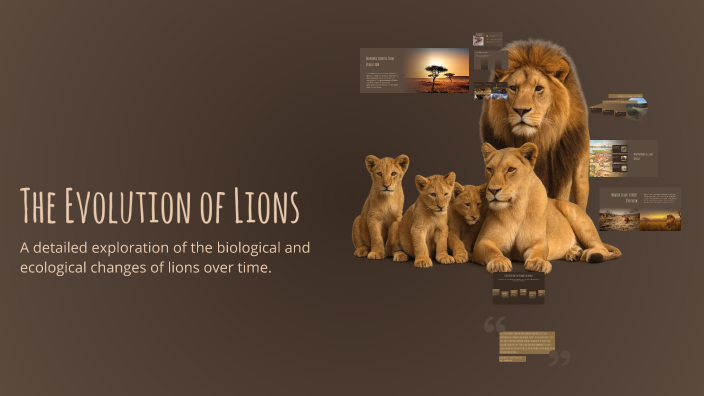 The Evolution of Lions by Aniela Wojciech on Prezi