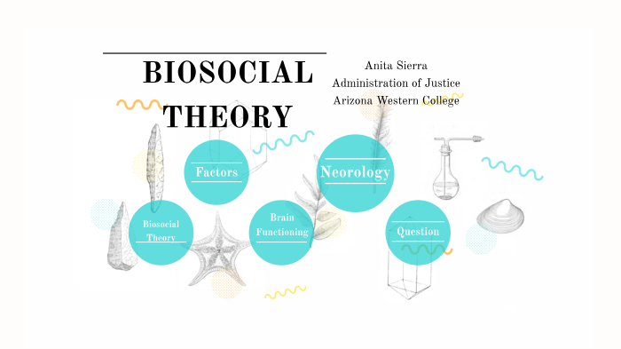 DBT Biosocial Theory Explained: How Symptoms Arise And Are, 46% OFF