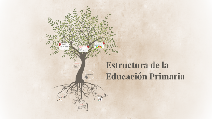 Estructura de la Educacion Primaria by jennifer martinez on Prezi