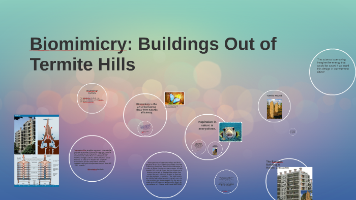 Biomimicry: Buildings Out of Termite Hills by Kelly Byers on Prezi
