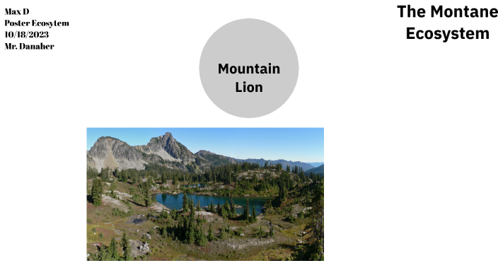 The Montane Ecosystem by Max Degelman on Prezi