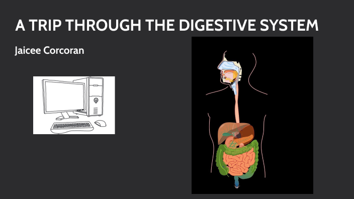 A TRIP THROUGH THE DIGESTIVE SYSTEM by Jaicee Corcoran on Prezi