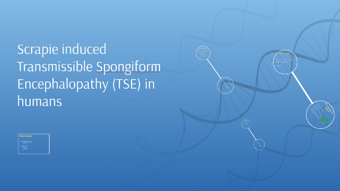 Scrapie induced Transmissible Spongiform Encephalopathy (TSE by Martijn ...
