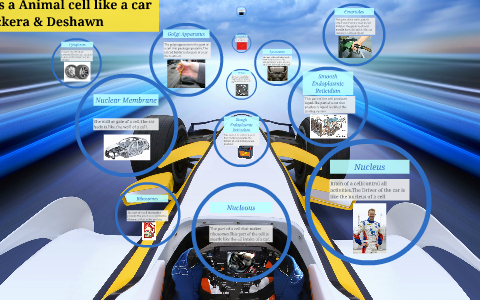 How is a Animal cell like a car by Deshawn williams on Prezi