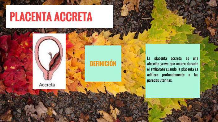 Placenta acreta, increta y percreta by JOSSELYN LIZETH QUISHPE RAMOS on ...