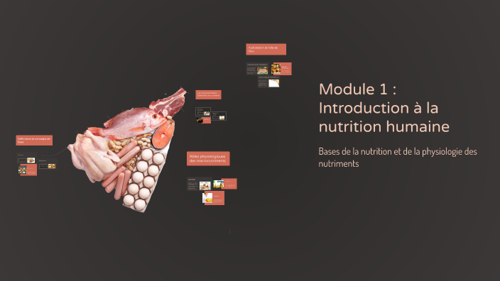 Module 1 : Introduction à la nutrition humaine by Hassan CHTIBI on Prezi