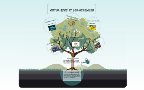 le definition mu by bela ella on Prezi