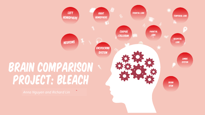 Brain Comparison Project: Bleach by AA Piano on Prezi