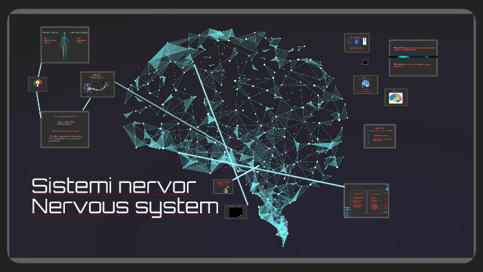 Sistemi nervor by Esra AAA on Prezi
