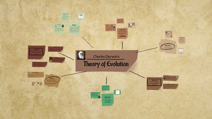 Theory of Evolution Mind Map by zoha awan on Prezi