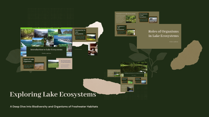 Exploring Lake Ecosystems by Lulu Vincent on Prezi