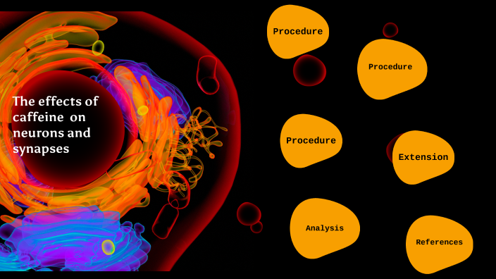 effects of caffeine on neurons and synapses by ieman ali on Prezi