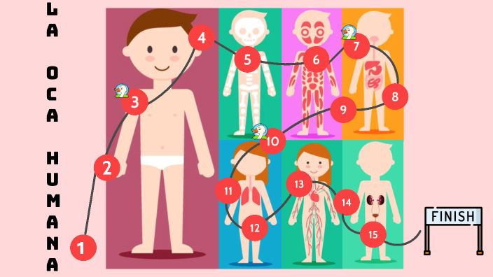 OCA HUMANA by Andrea Soto Castejón on Prezi