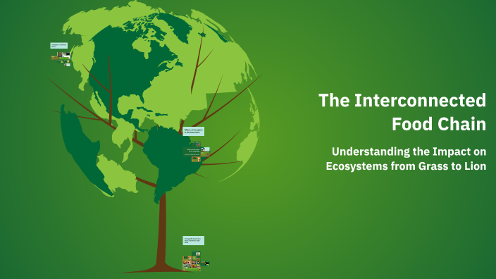 The Interconnected Food Chain by karem jeha on Prezi