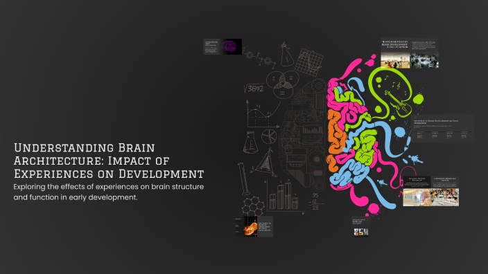Understanding Brain Architecture: Impact of Experiences on Development ...