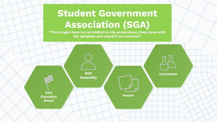 Student Government Roles Breakdown by Calissa McNeely on Prezi
