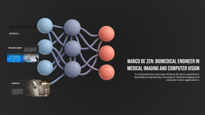 Marco De Zen: Biomedical Engineer in Medical Imaging and Computer ...