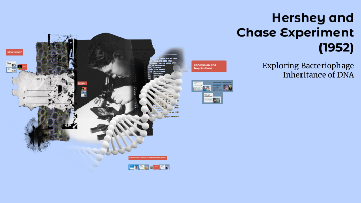 Hershey and Chase Experiment (1952) by Carolina Nunes on Prezi