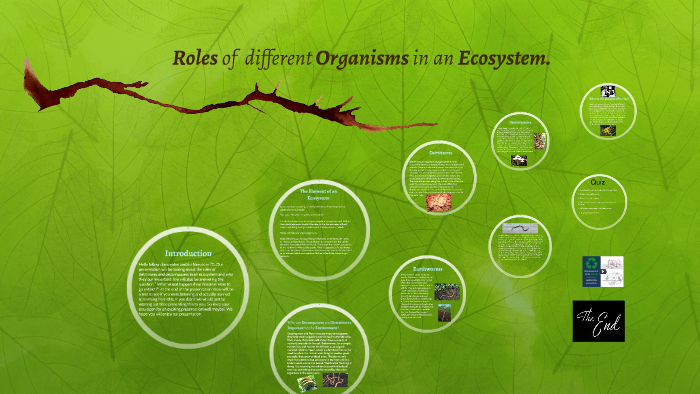 Roles of an organism in an ecosystem. by School Group on Prezi