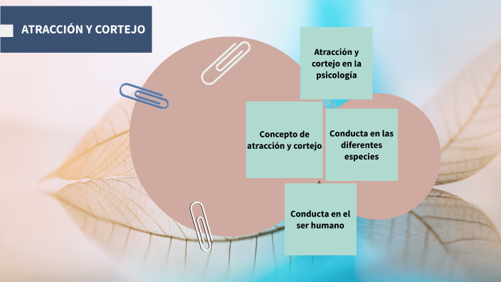Atracción y cortejo by daniela sandoval on Prezi