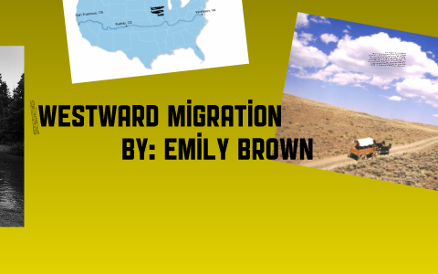 Changing the World: Natalie Du Toit by Emily Brown on Prezi