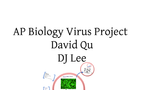 AP Biology Virus Project by David Qu on Prezi