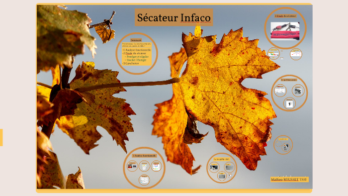 Sécateur Infaco by Mathieu Rousset on Prezi
