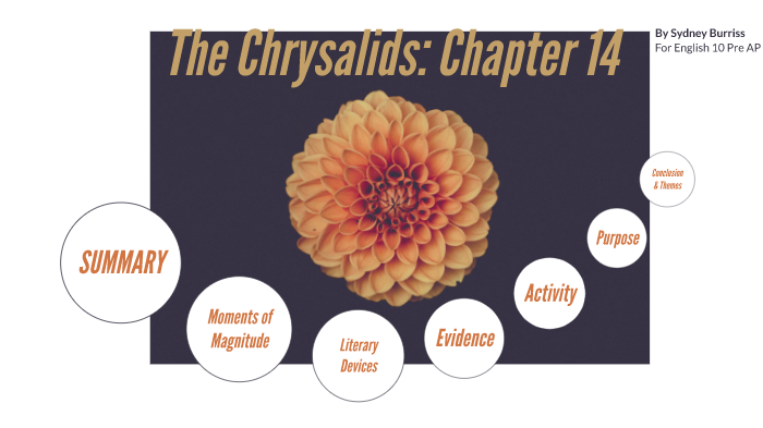 The Chrysalids Chapter 14 by Sydney Burriss on Prezi