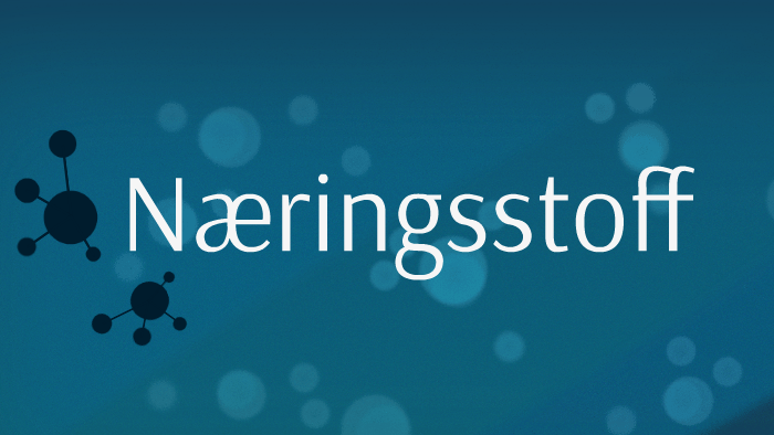 Næringsstoff by Caroline Lundgren on Prezi