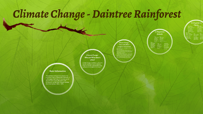 Climate Change - Daintree Rainforest by Thomas Bala on Prezi