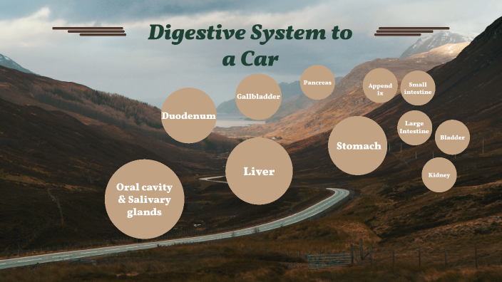 Digestive System to a Car Analogy by Danish Nizami on Prezi