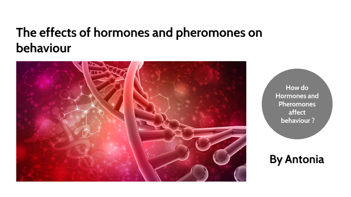 HORMONES AND PHEROMONES by Antonia James-Cameron on Prezi