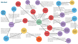 Evolution Mind Map by MB - 11PC 789322 Lorne Park SS on Prezi Design