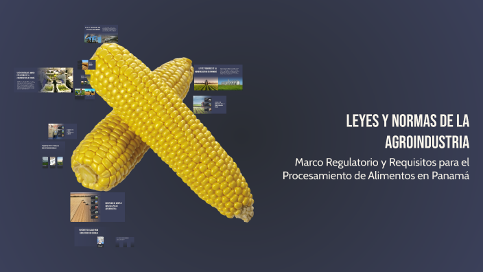 Leyes y Normas de la Agroindustria by steven franceschi on Prezi