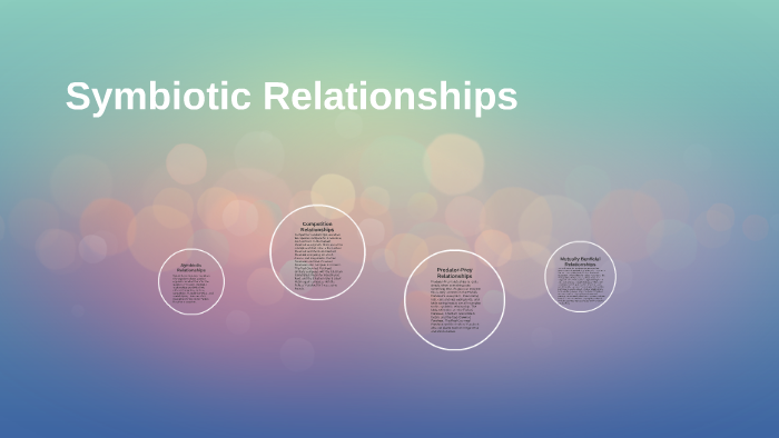 Symbiotic Relationships by Pasta Sauce