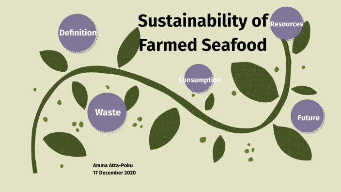 Sustainability Engineering Graphic Organizer by Amma Atta-Poku on Prezi