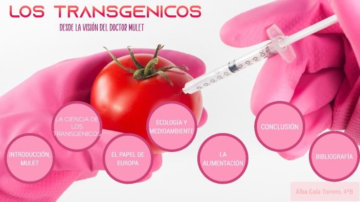 Los alimentos transgénicos- José Miguel Mulet by Alba Gala on Prezi Los alimentos transgénicos- José Miguel Mulet by Alba Gala on Prezi