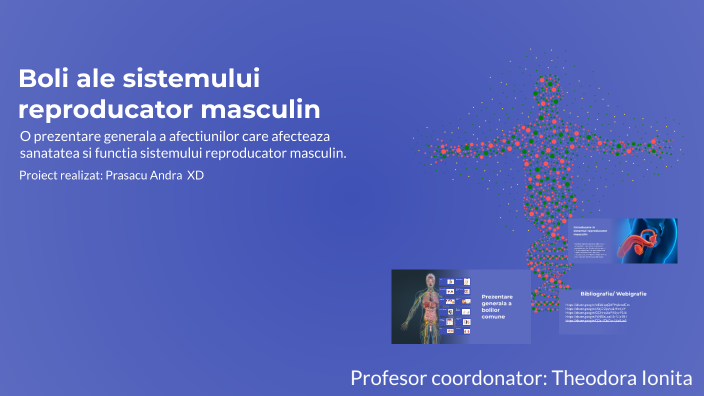Diseases of the Male Reproductive System by Andra Prasacu on Prezi