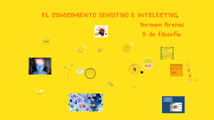 EL CONOCIMIENTO SENSITIVO E INTELECTIVO. by yorman ricardo arenas cacua ...